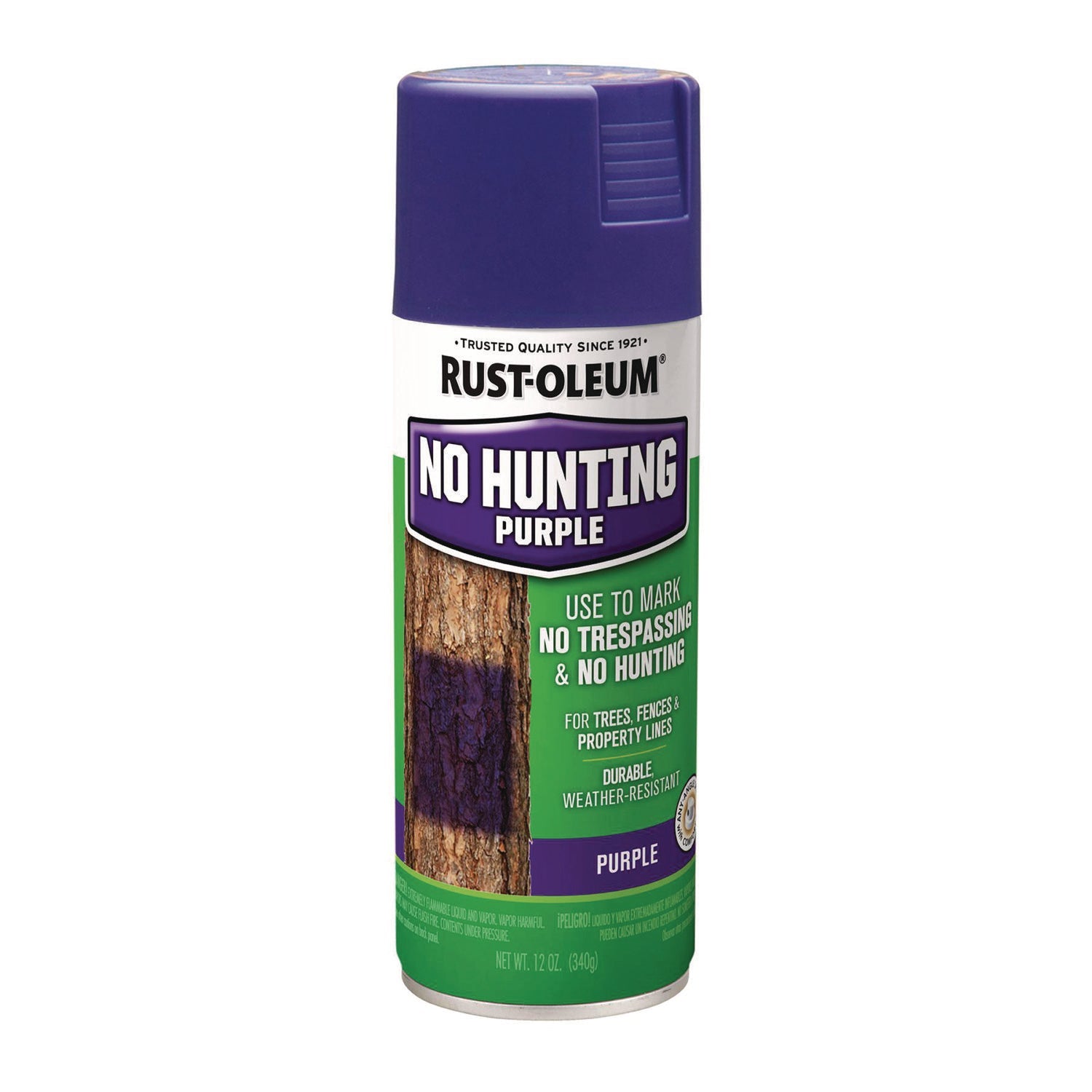 Specialty No Hunting Purple Spray Paint, Flat Purple, 12 oz Aerosol Ca ...
